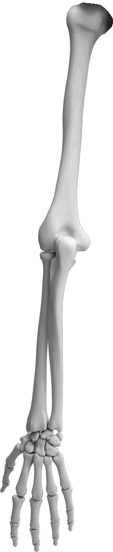 Upper Cervical Wellness Center