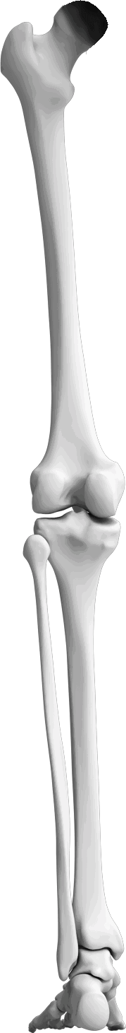 Health First Chiropractic