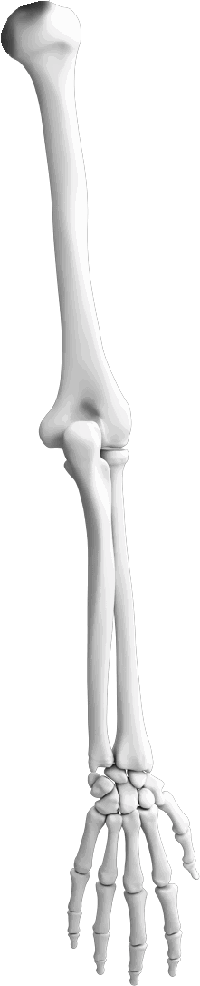 Upper Cervical Wellness Center