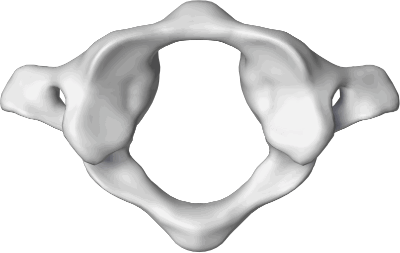 Elite Upper Cervical