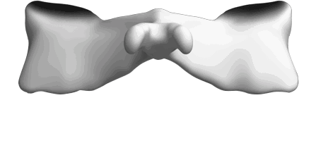 Atlas Orthogonal Chiropractic